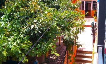 Comarca Recreo, Vina del Mar - Latest Prices and Deals [2026] | Trip.com