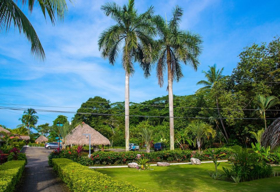 Beach Break Resort & CR Surf Camp,Jaco - Updated 2024 Reviews & Prices ...