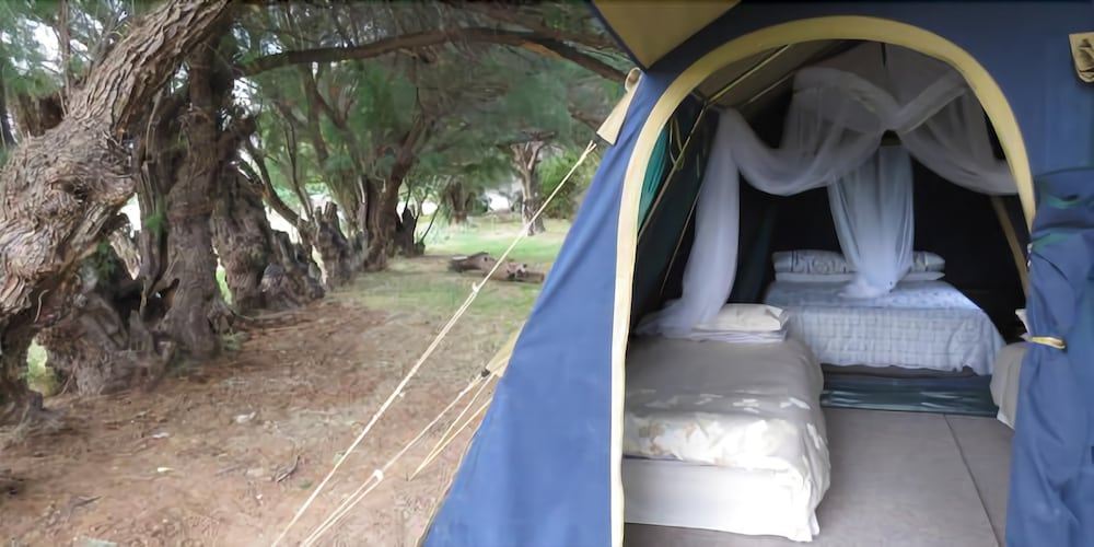 Karoo Gariep Tented Camp - Western Cape