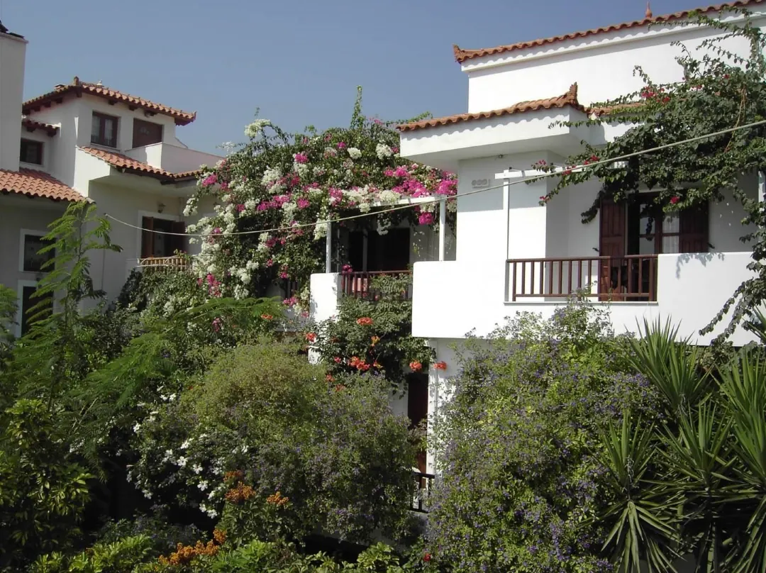 Golden Sun - Aydın