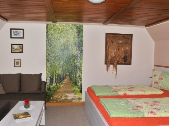 Pension Willischza - Burg