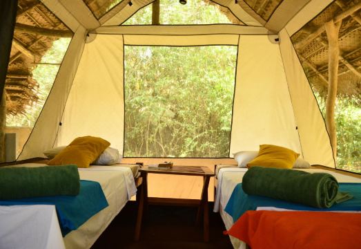 Palpatha Eco Safari Lodge, Anuradhapura - 2025 Updated Prices, Deals ...