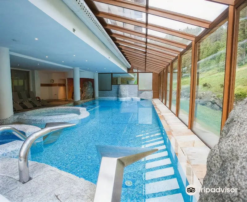 Carlo Magno Hotel Spa Resort - Trentino