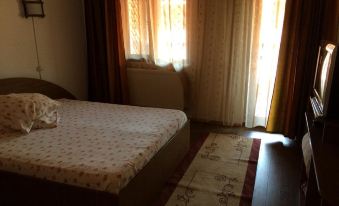Casa de Piatra, Pantelimon - Book with Updated Prices 2026 | Trip.com