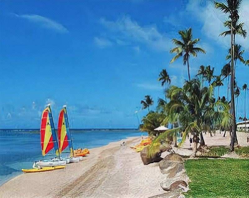 Club Melia at Gran Melia Puerto Rico,Rio Grande - Updated 2024 Reviews ...