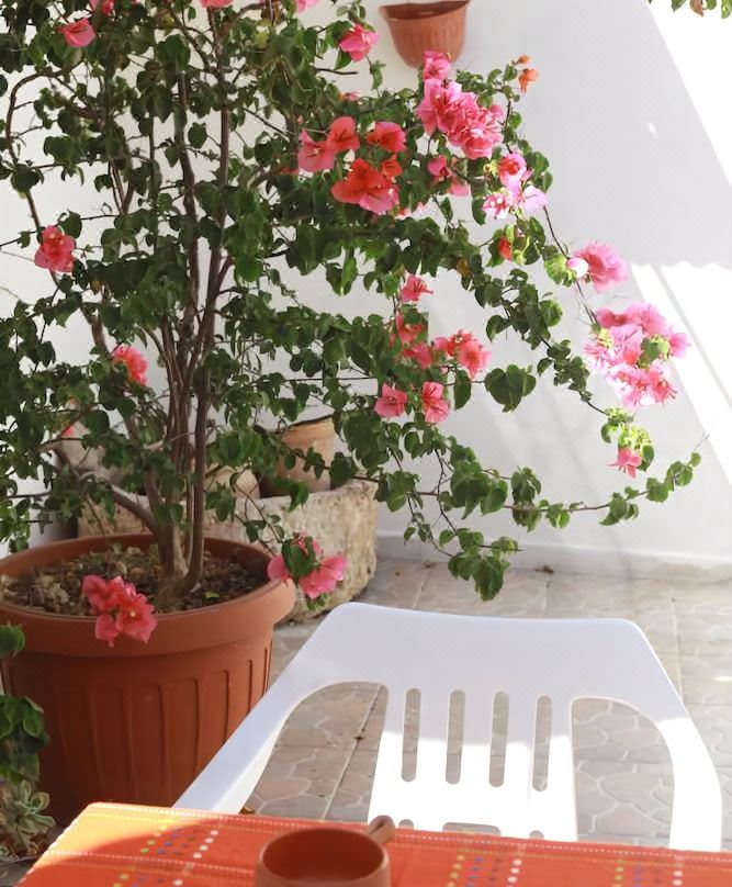 Bb Dragonetti Holiday Home Salento - Salento, Italien