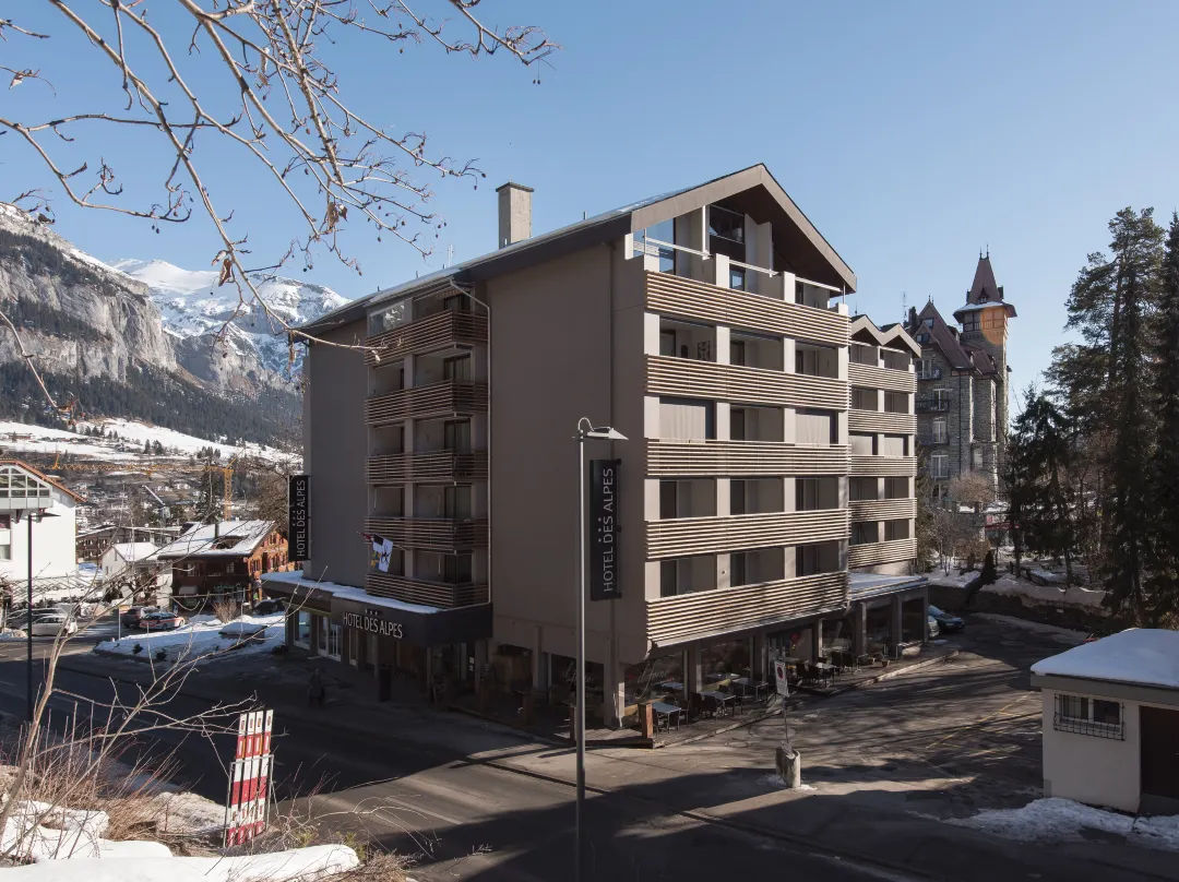 Hotel Des Alpes - Flims