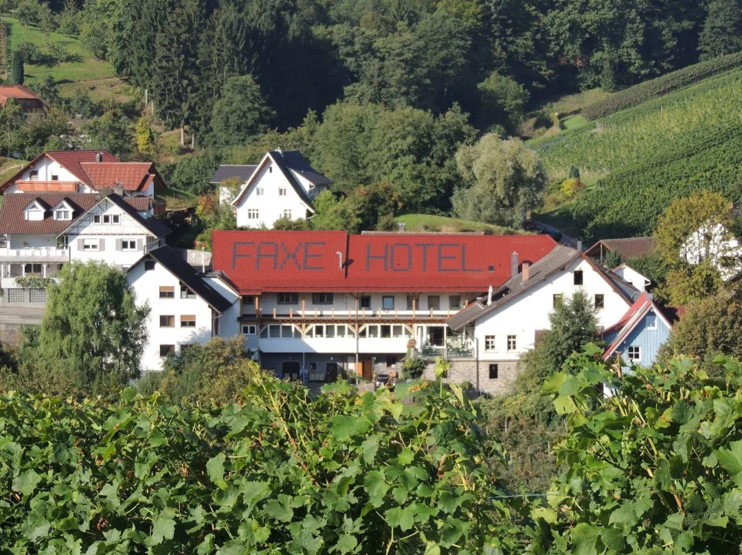 Hotel Faxe Schwarzwälder Hof - Oberkirch