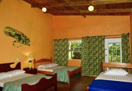 Howler Monkey Resort,Bermudian Landing - Updated 2024 Reviews & Prices ...