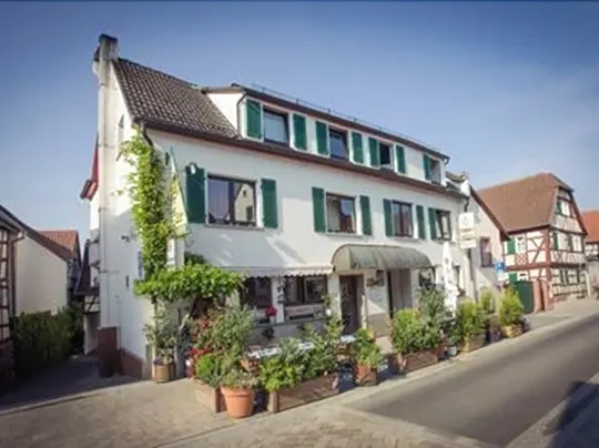 Hotel Lauer - Hanau