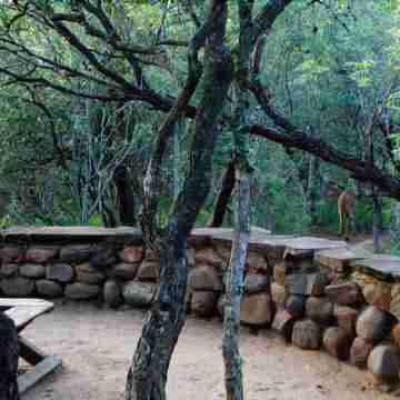 Latest Mkhaya Game Reserve Map,Address, Nearest Station & Airport 2024 ...