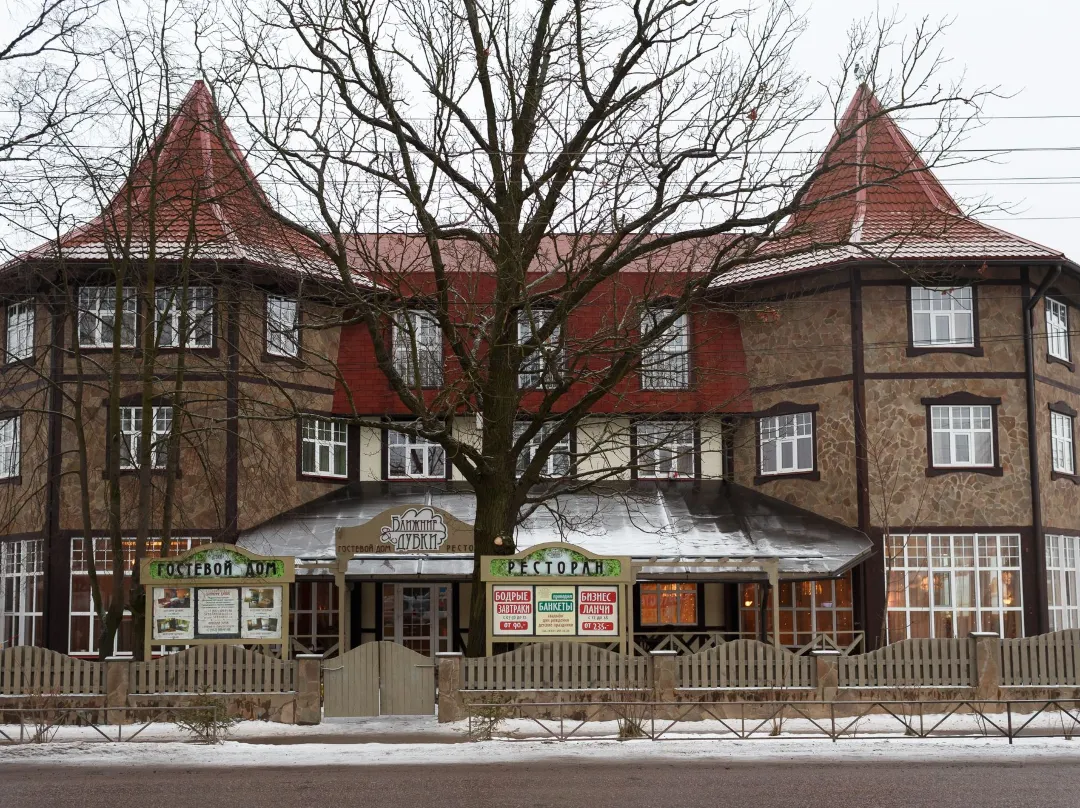 Guest House Blizhnie Dubki - Saint Petersburg, Russia