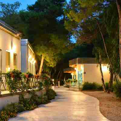 Latest Sira Resort Map,Address, Nearest Station & Airport 2023 | Trip.com