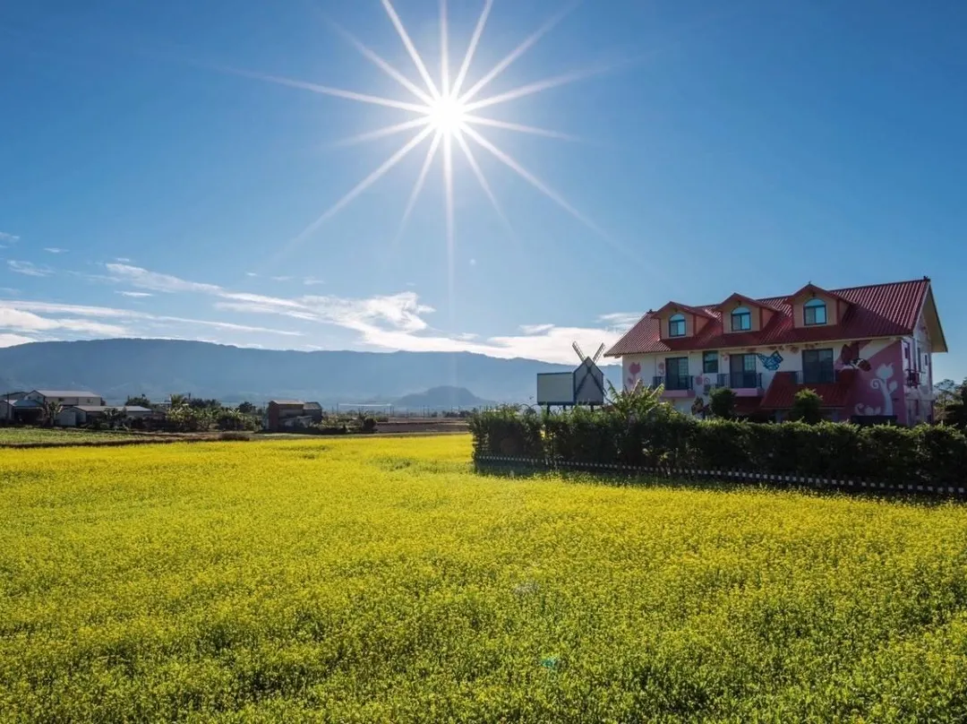 Tao Heung Garden B&b - 池上