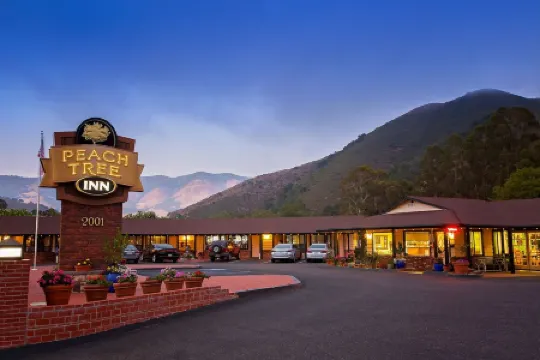 Peach Tree Inn Reviews: 102 Verified Reviews Latest 2024 | Trip.com