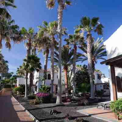 Latest Barceló Castillo Beach Resort Map,Address, Nearest Station ...