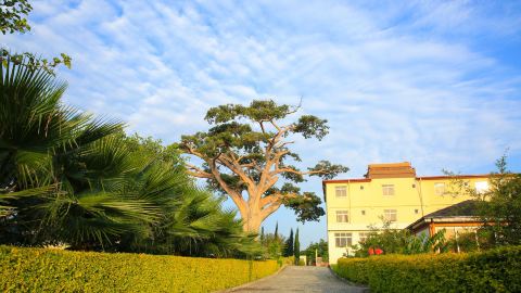 รีวิวHaile Resort Ziway Batu - โปรโมชั่นโรงแรม ดาวในZiway | Trip.com