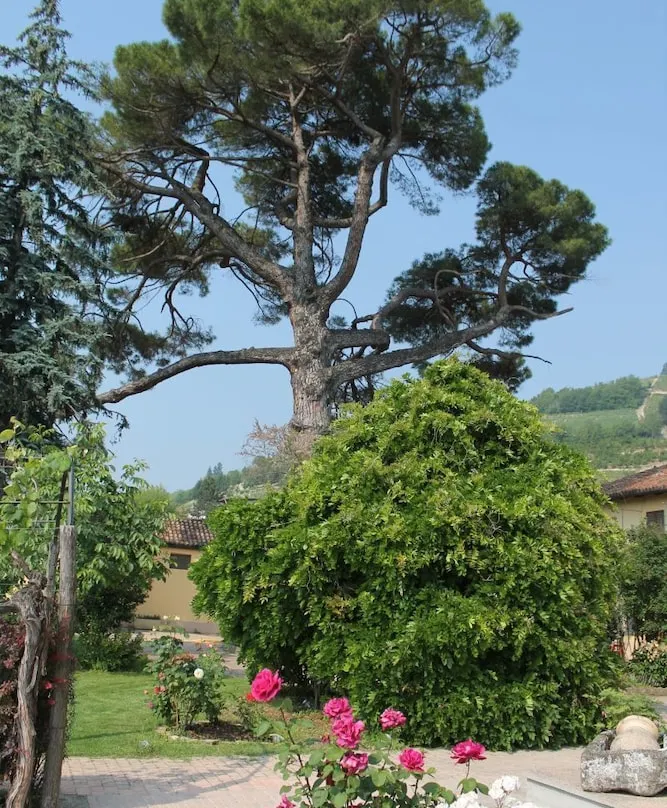Tenuta Fagnanetto - Provincia di Cuneo