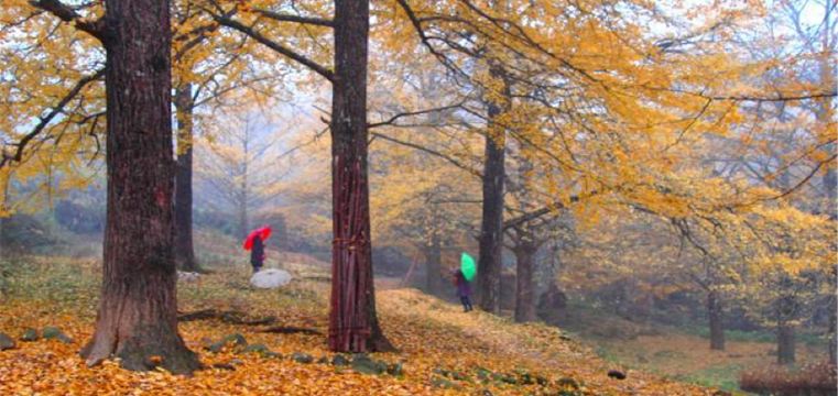 Yongzhou Travel Guide 2024 - Things to Do, What To Eat & Tips | Trip.com