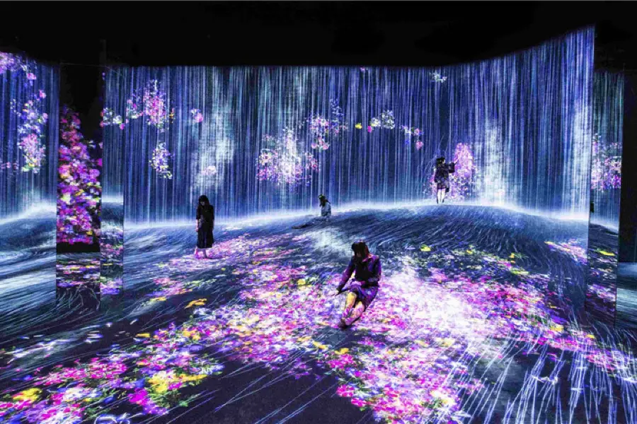 EPSON teamLab: teamLab Borderless Shanghai: ภาพถ่าย, แผนที่ & รีวิว [2024] | Trip.com
