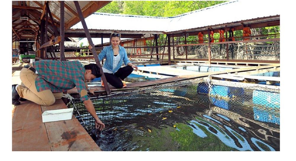 Langkawi UNESCO Global Geopark Join-In Cruise | Trip.com