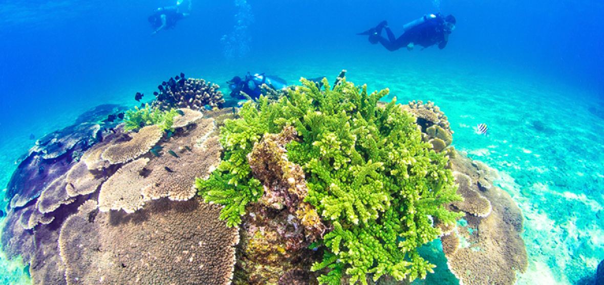 Boundary Island Travel Guide 2025: Top Attractions, Things to do ...