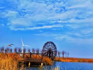 Things to do in Qidong (2025): Top nearby activities,popular ...