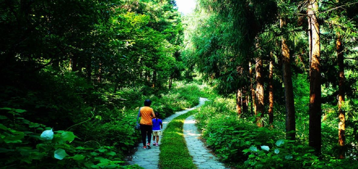 Things to Do in Gucheng in 2025 - Top Attractions, Local Food, Hotels ...