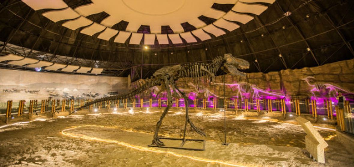 Erenhot Travel Guide 2025: Top Attractions, Things to Do & Deals | Trip ...