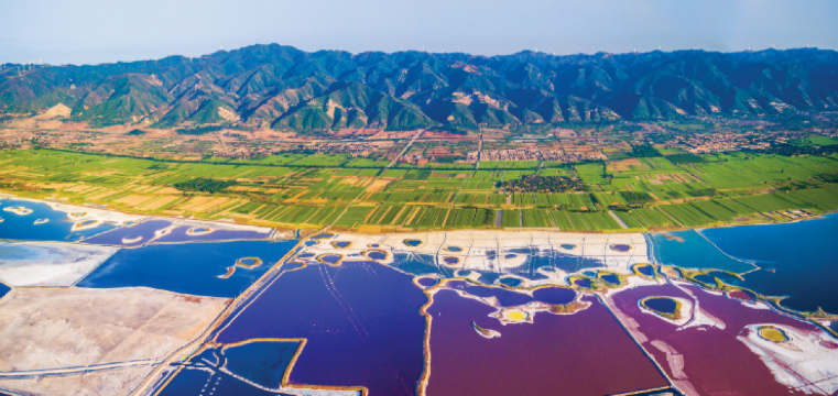 Things to Do in Yanhu District in 2025 - Top Attractions, Local Food ...