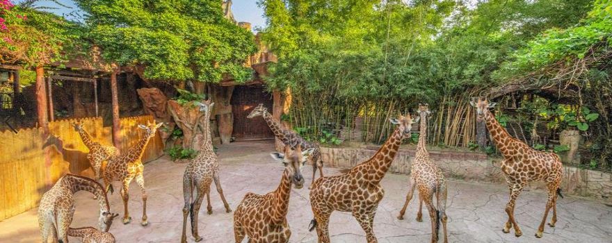 Things to Do in Shunde District in 2024 - Top Attractions, Local Food ...