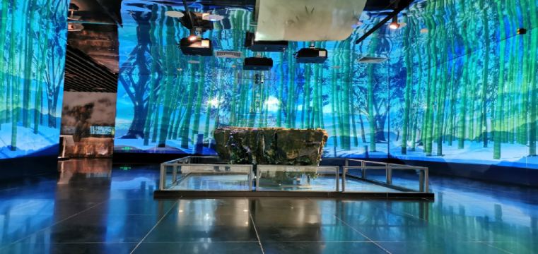 Things to Do in Chashan Bamboo Sea Resort in 2025 - Top Attractions ...