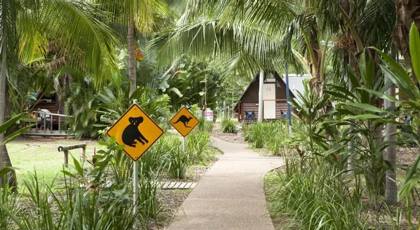 Bounce Magnetic Island And Koala Park - Formerly Roamer - Magnetic Island