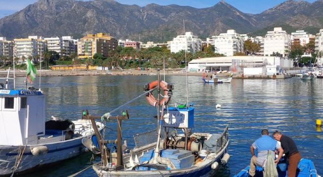 Playa Fontanilla Apartments,Marbella - Updated 2024 Reviews & Prices ...