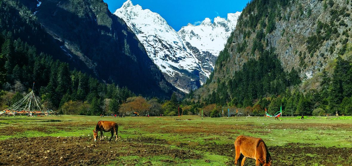 Las mejores atracciones en Dêqên para el 2024 - Guías de viaje de Dêqên ...