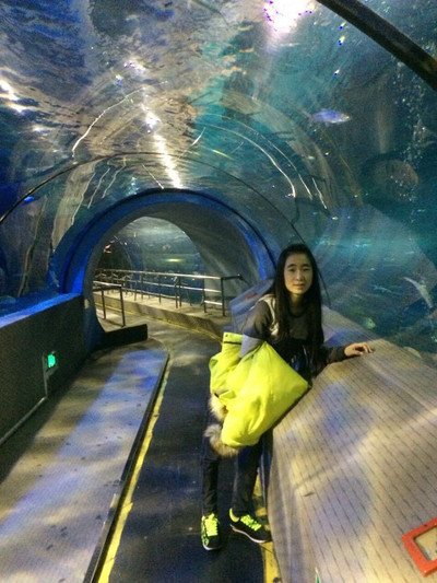 gu feng shan hua xue chang - 완룽 여행 리뷰｜트립닷컴 트립 가이드