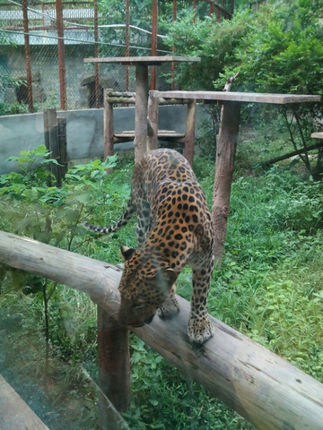 Fuzhou Zoo