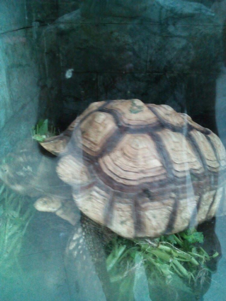 Fuzhou Zoo