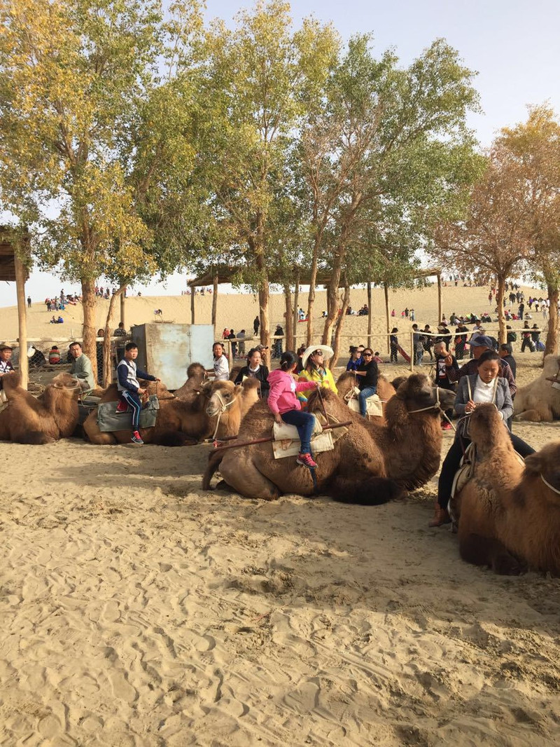 Taklamakan Desert People