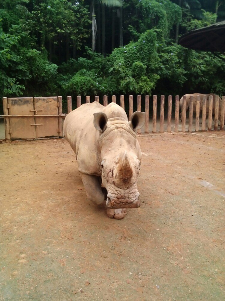 Fuzhou Zoo