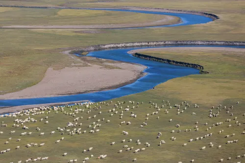6-Day Inner Mongolian Hulun Buir Grassland Private Tour: Mo Ri River ...