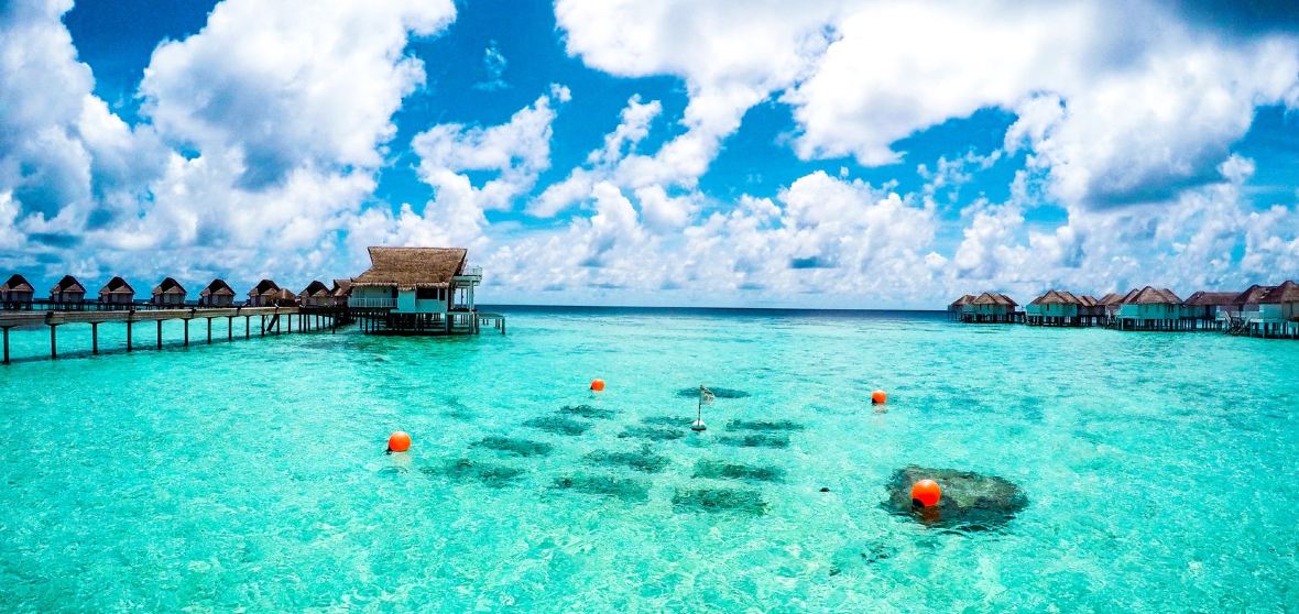 Things to Do in Alif Dhaal Atoll in 2025 - Top Attractions, Local Food ...
