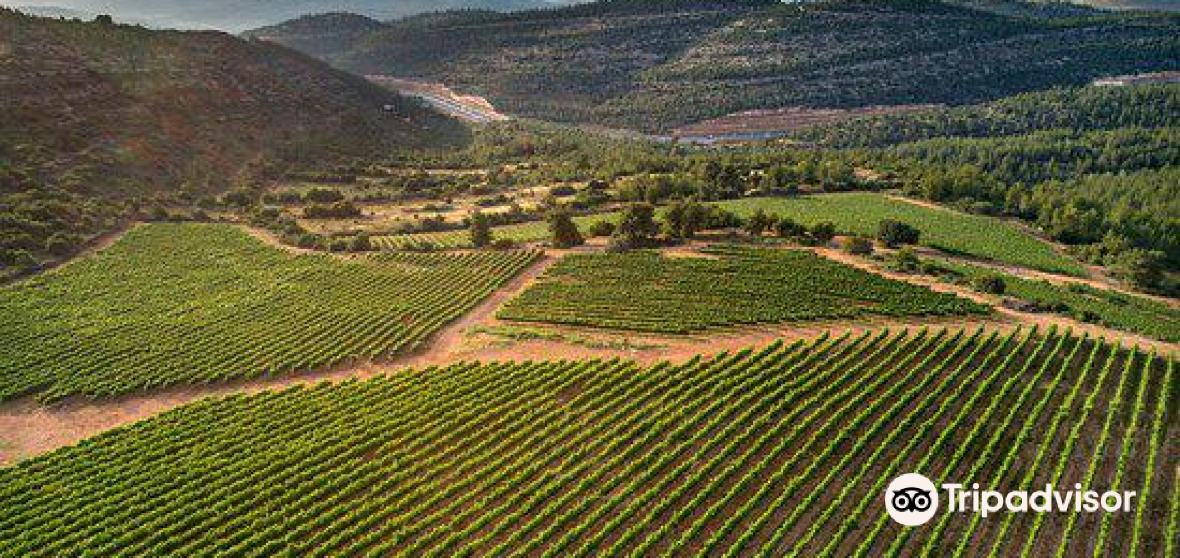 Things to Do in Tsor'a in 2025 - Top Attractions, Local Food, Hotels ...