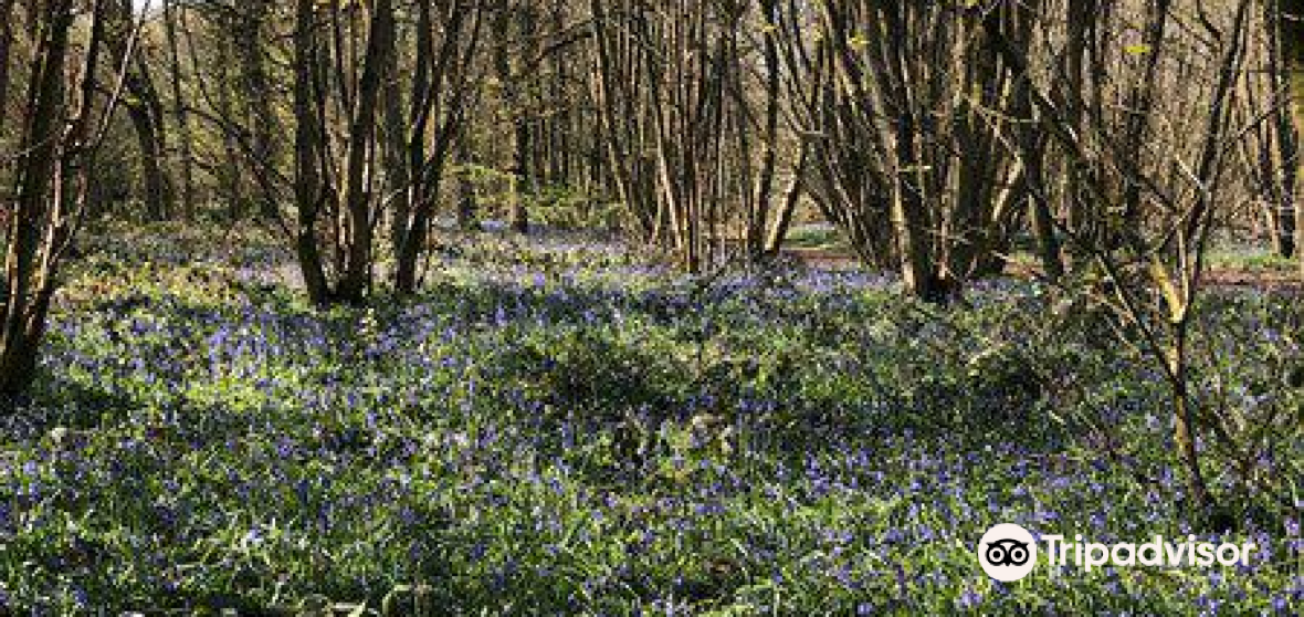 Things to Do in Everdon in 2024 - Top Attractions, Local Food, Hotels ...