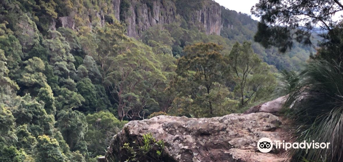 Things to Do in Drewvale in 2025 - Top Attractions, Local Food, Hotels ...