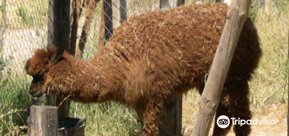 Things to do in Val de Santo Domingo (2025): Top nearby activities ...