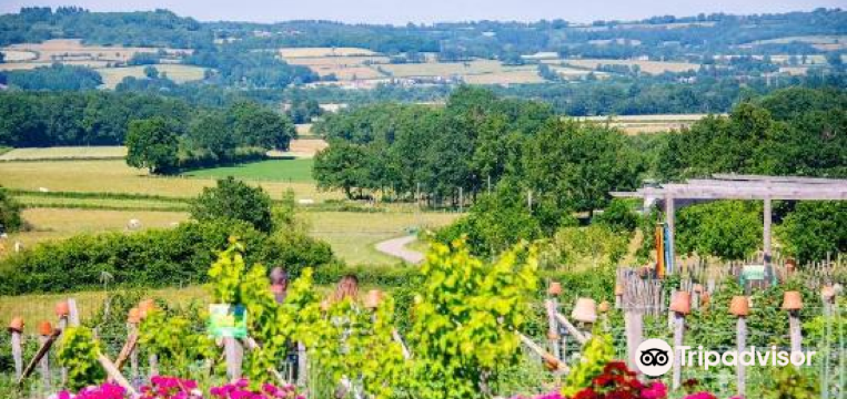 Curgy Travel Guide 2026: Top Attractions, Things to Do & Deals | Trip ...