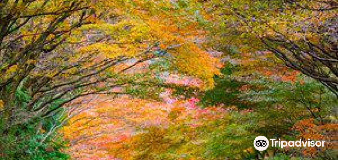 Susono Travel Guide 2023 - Things to Do, What To Eat & Tips | Trip.com