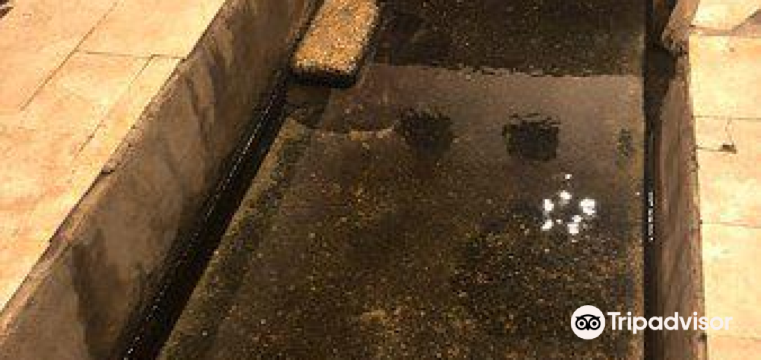 Wadi Moussa Travel Guide 2024 - Things to Do, What To Eat & Tips | Trip.com