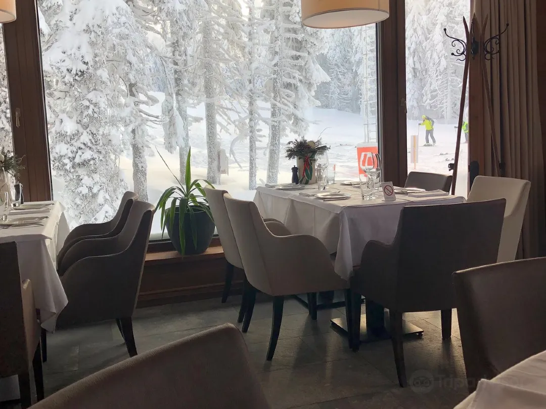 Grey Family Hotel - Parco nazionale di Kopaonik